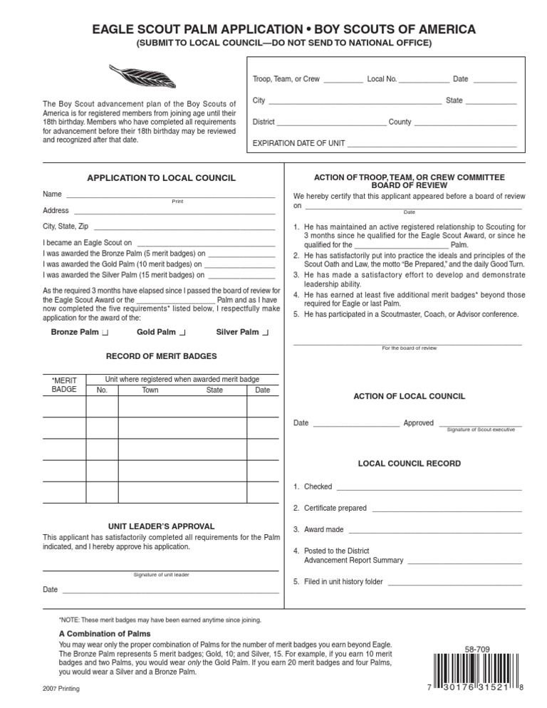 Eagle Palm Application 58-709 | PDF | Girl Guiding And Girl Scouting ...