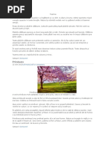 Compunere Despre Toamnă Cu Expresii Frumoase | PDF