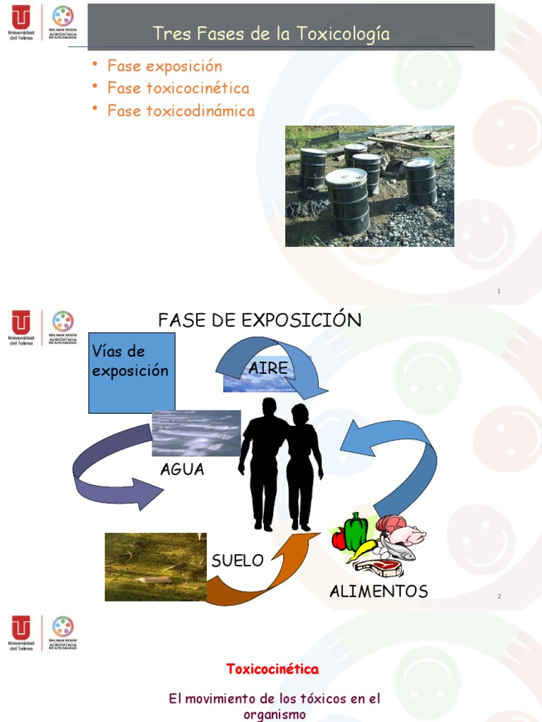 Toxicología Ocupacional. | PDF | Biotransformación | Toxicidad