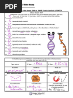 DNA vs. RNA and Protein Synthesis | PDF | Translation (Biology) | Rna