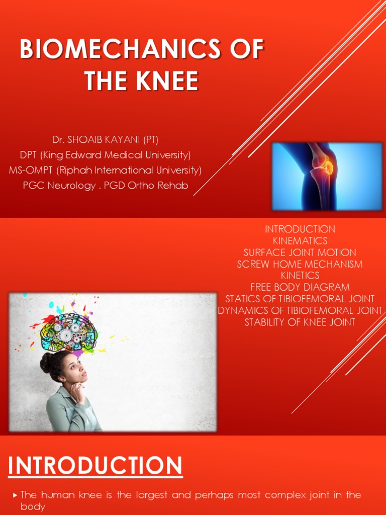 Knee Joint Biomechanics Overview | PDF | Knee | Force