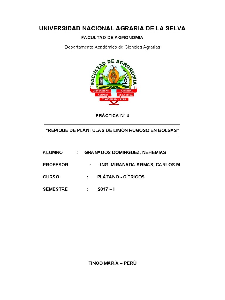 p.4. Repique Del Limón Rugoso | PDF | Limón | Agronomía