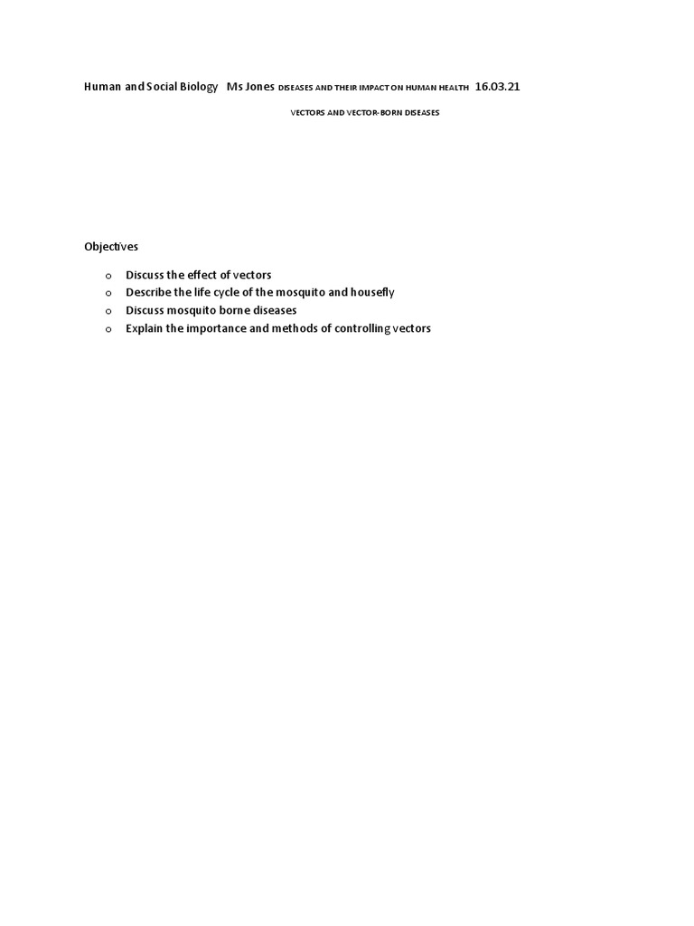 HSB - Vectors Notes | PDF