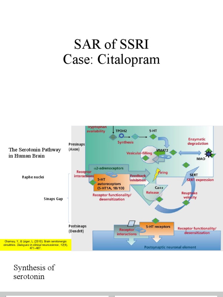 Sar of Ssri Case: Citalopram | PDF | Brain | Chemistry