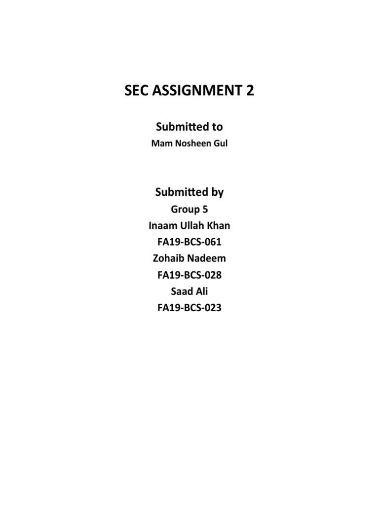 Sec Assignment 2: Submitted To | PDF