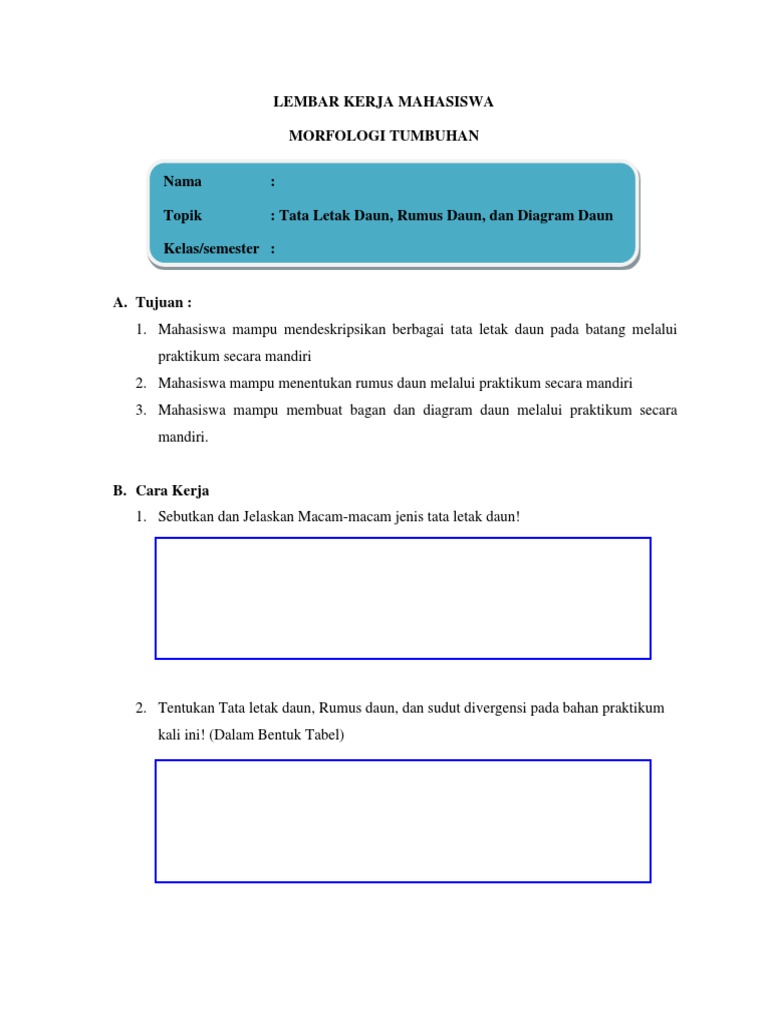 LKM 3 Tata Letak Daun, Rumus Daun, Dan Diagram Daun | PDF