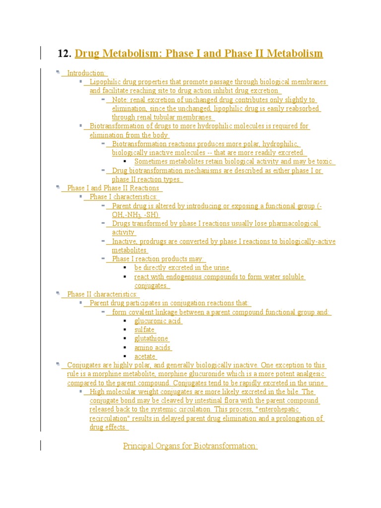 Drug Metabolism Phase I And Phase Ii Metabolism Principal Organs For