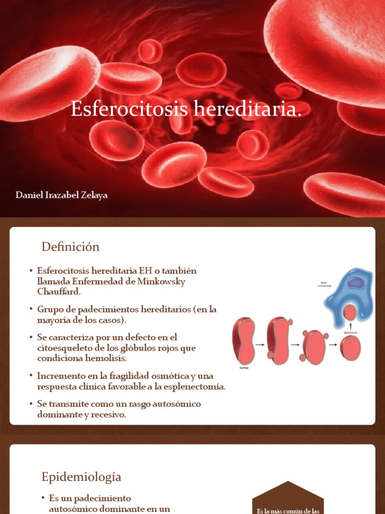 Esferocitocis Hereditaria | PDF | Enfermedades y trastornos ...