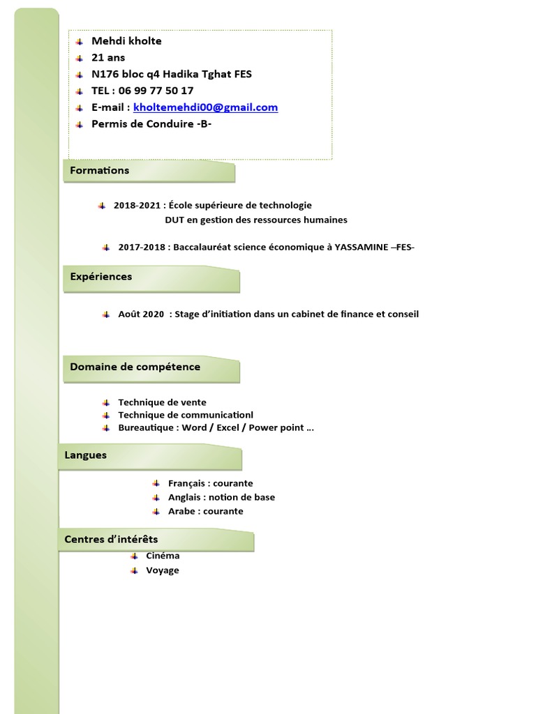 Mehdi Kholté CV | PDF
