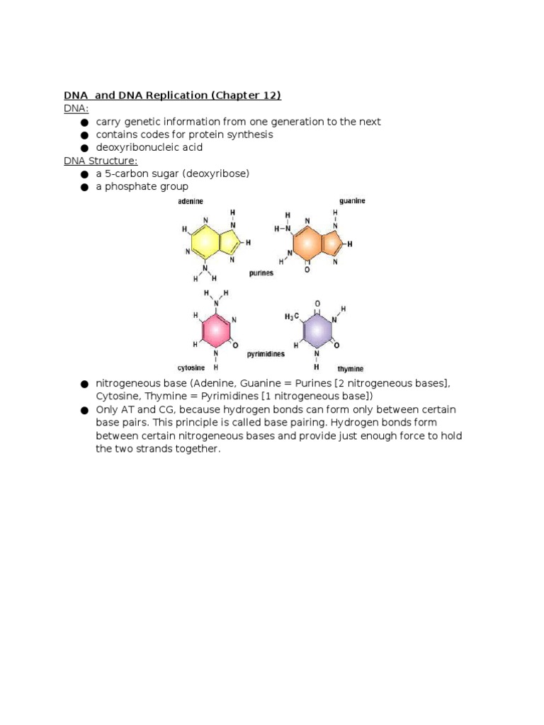 DNA and DNA Replication (Chapter 12) | PDF | Dna | Base Pair