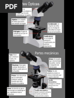Partes Del Microscopio | PDF