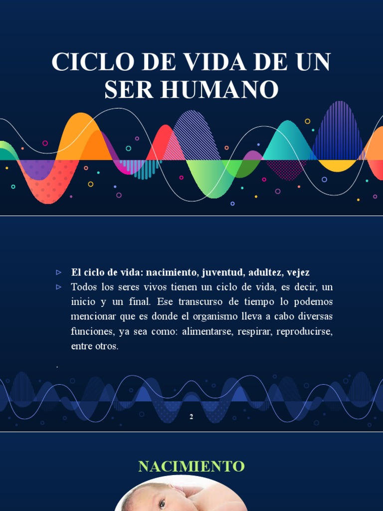 Ciclo de Vida de Un Ser Humano | PDF