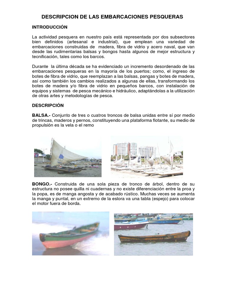 Clasificación de Embarcaciones Pesqueras | PDF | Barcos | Canoa