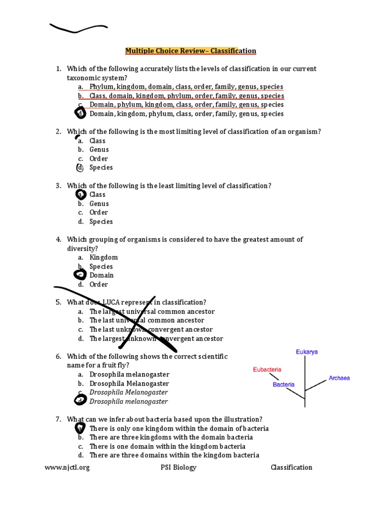 Classification Multiple Choice Self Assessment Practice Test 1juc9so ...