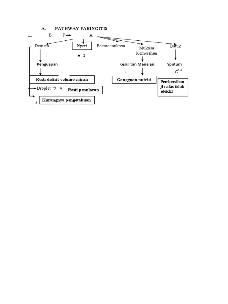 Pathway Faringitis | PDF