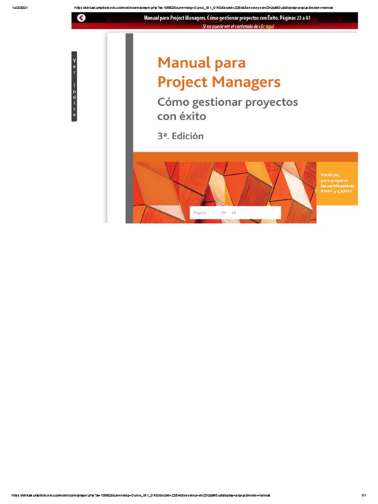 Manual para Project Managers | PDF
