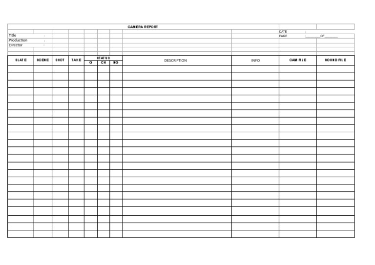 Camera Report Template Guide | PDF