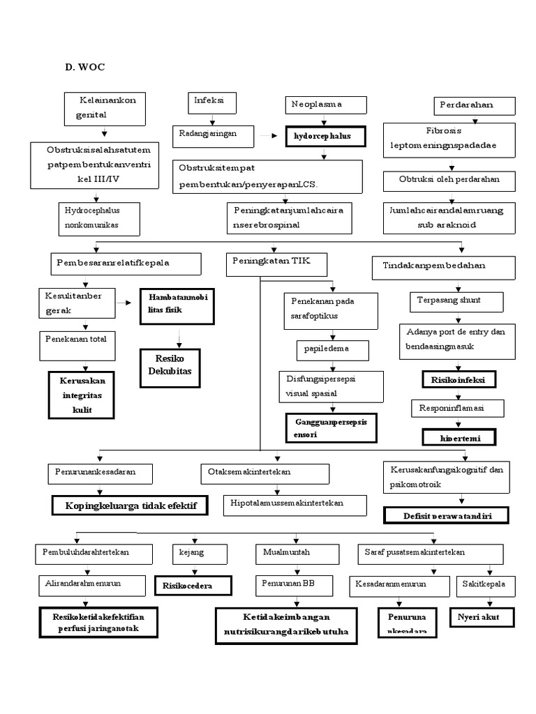 Pathway Hydrocephalus | PDF