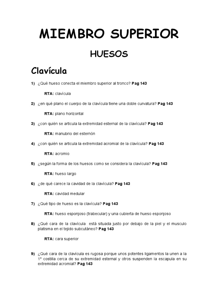 Huesos MS | PDF | Anatomía humana | Extremidades (anatomía)