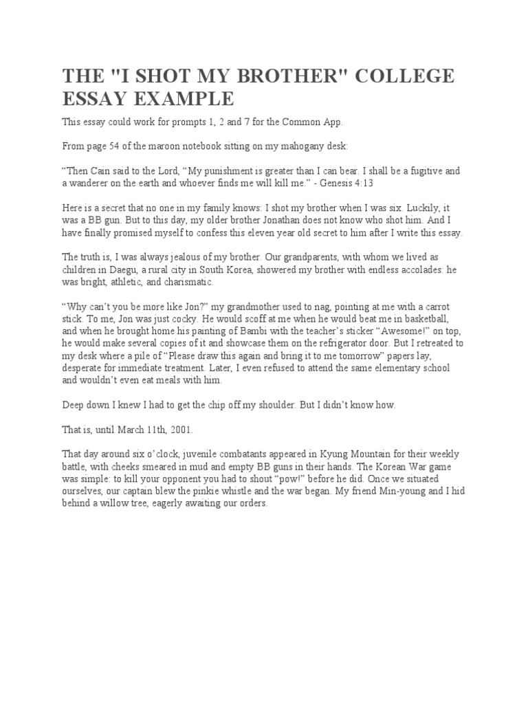 The "I Shot My Brother" College Essay Example | PDF