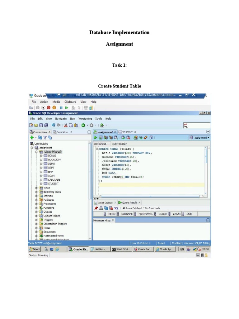 Database Implementation Assignment: Task 1 | PDF | Debit Card | Data ...