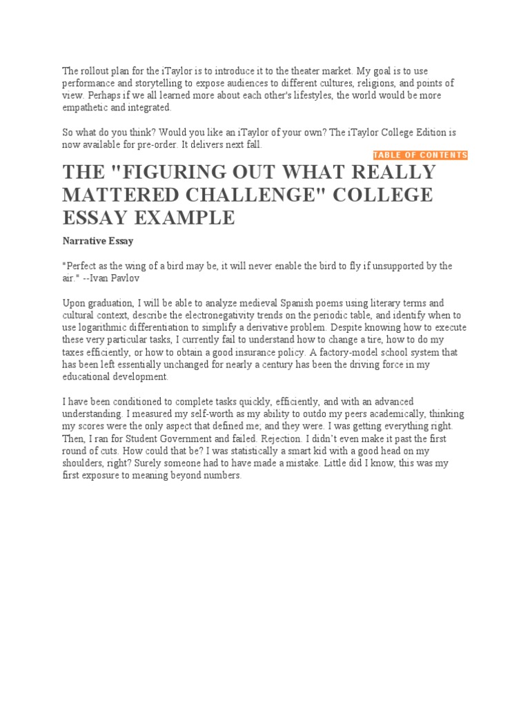 The "Figuring Out What Really Mattered Challenge" College Essay Example ...
