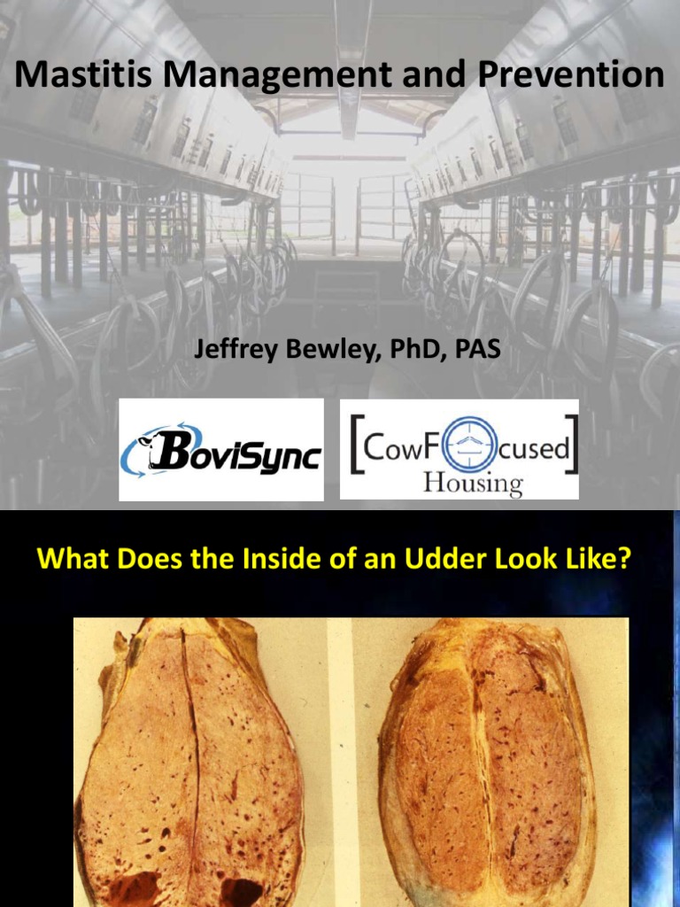 Mastitis Management and Prevention: Jeffrey Bewley, PHD, Pas | PDF ...