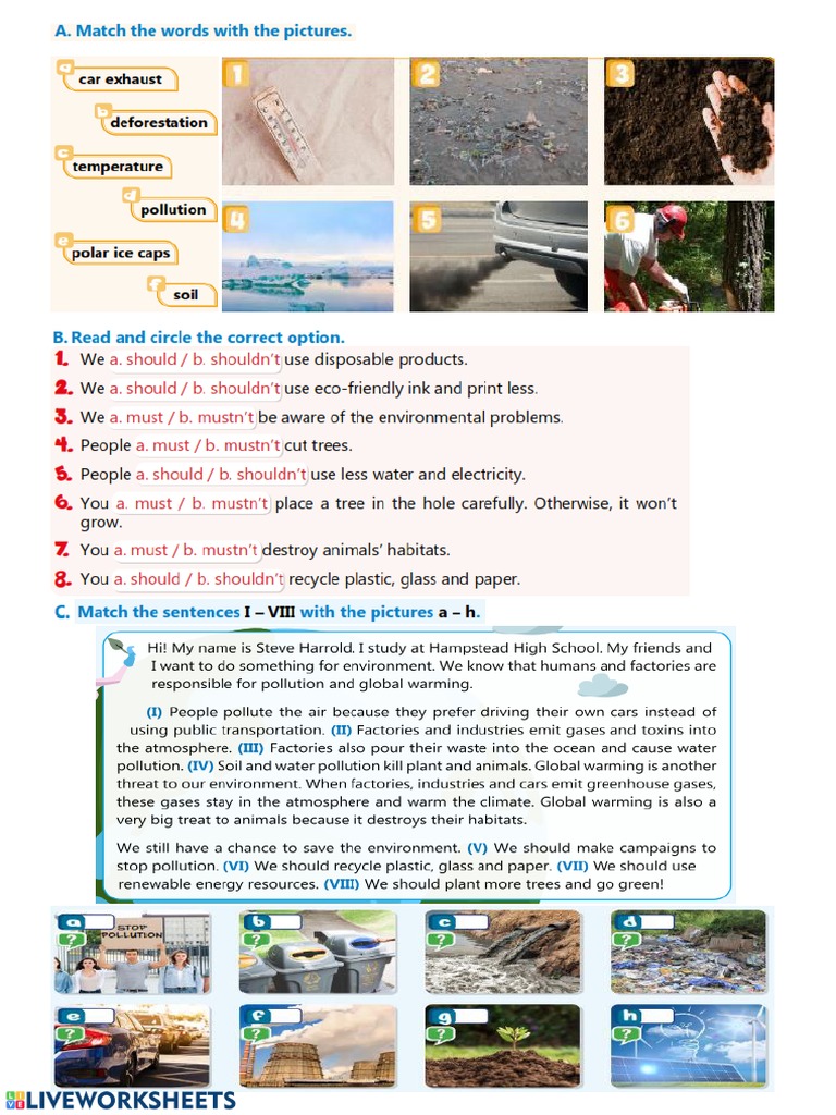 Environment Worksheet | PDF