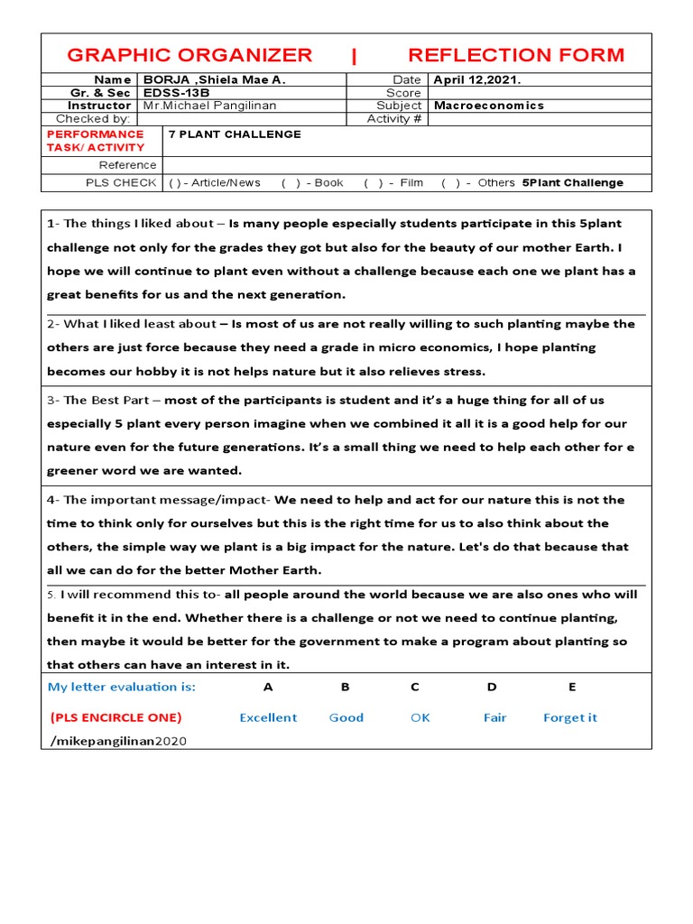 Graphic Organizer - Reflection Form | PDF