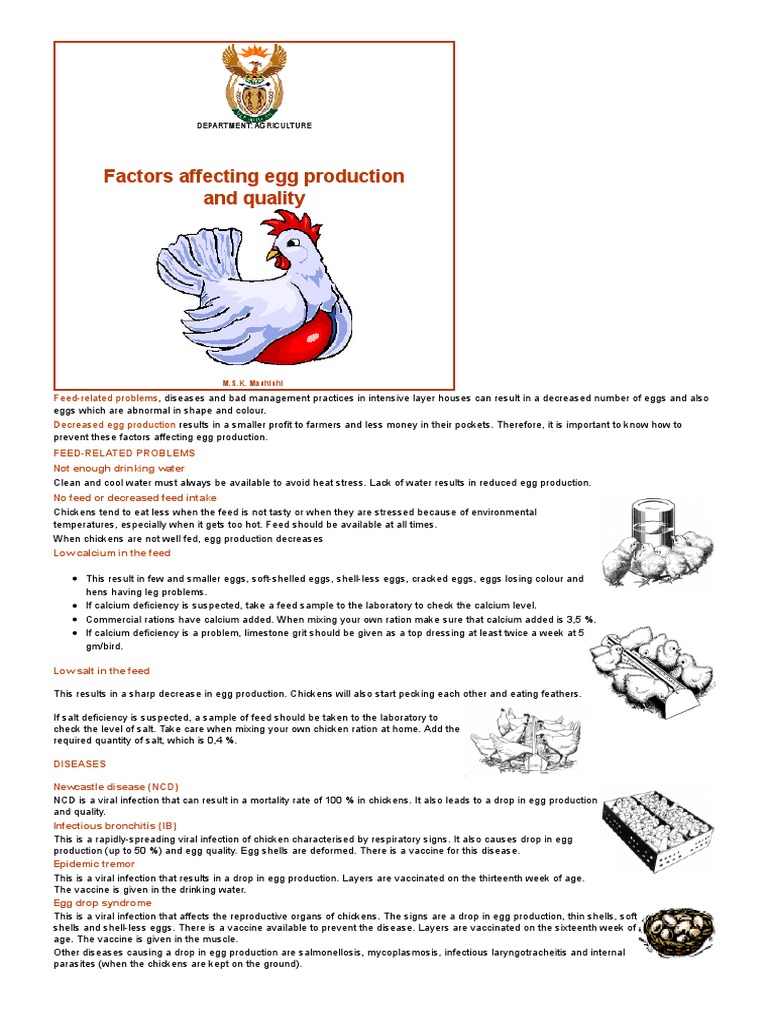 Factors Affecting Chicken Eggs Production - South Africa Department of ...