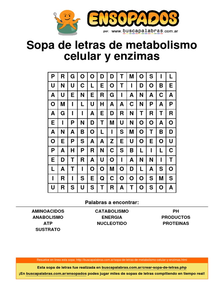 Sopa de Letras de Metabolismo Celular y Enzimas | PDF