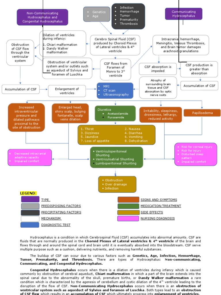 Pathophysiology of Hydrocephalus | PDF | Cerebrospinal Fluid | Nervous ...