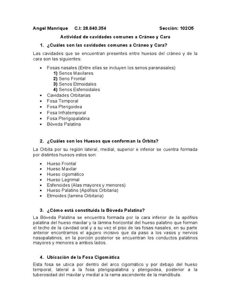 Cavidades Comunes Angel Manrique C.I 28.640.354 | PDF | Anatomía ...