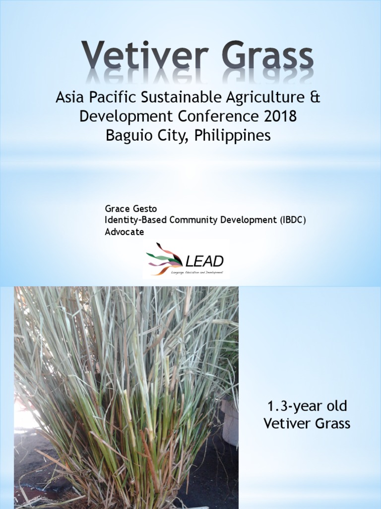 An Introduction To Vetiver Grass and Its Uses | PDF