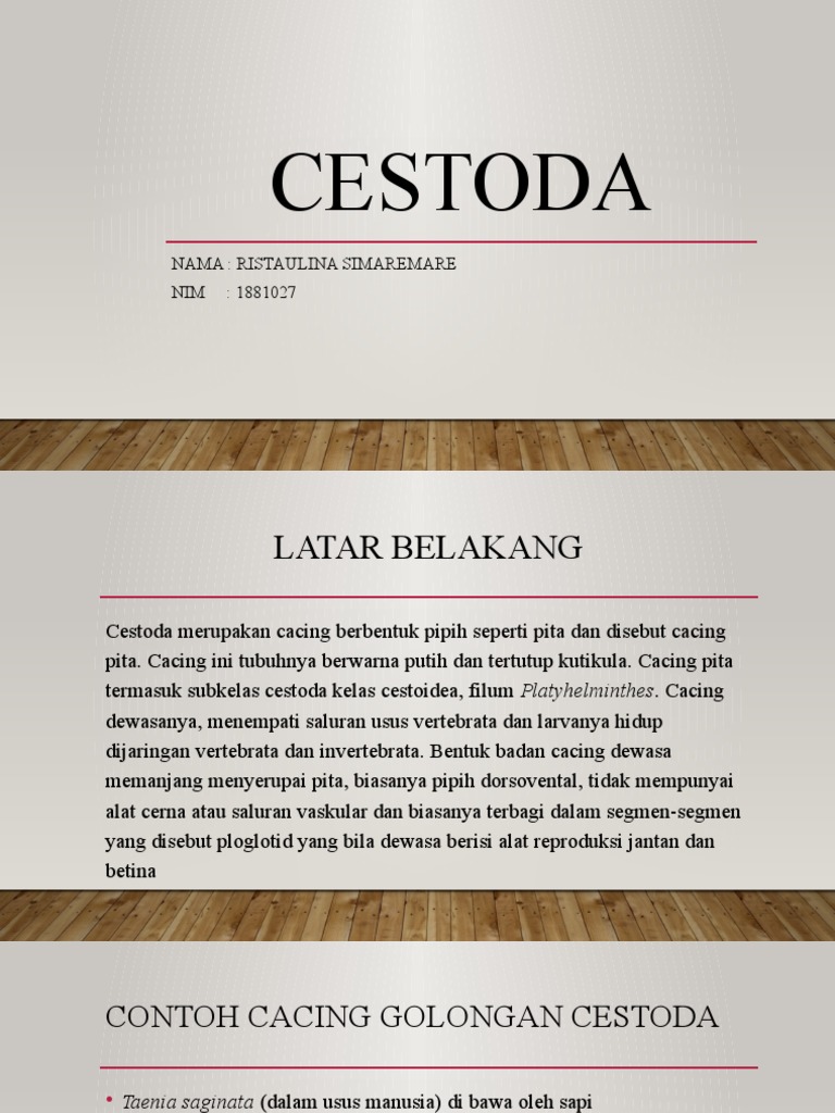 Cacing Pita: Cestoda dan Taenia | PDF