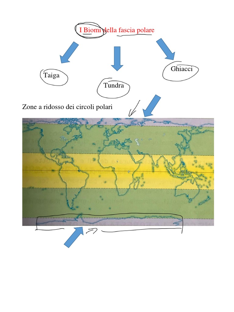 Geografia Bioma Polare | PDF