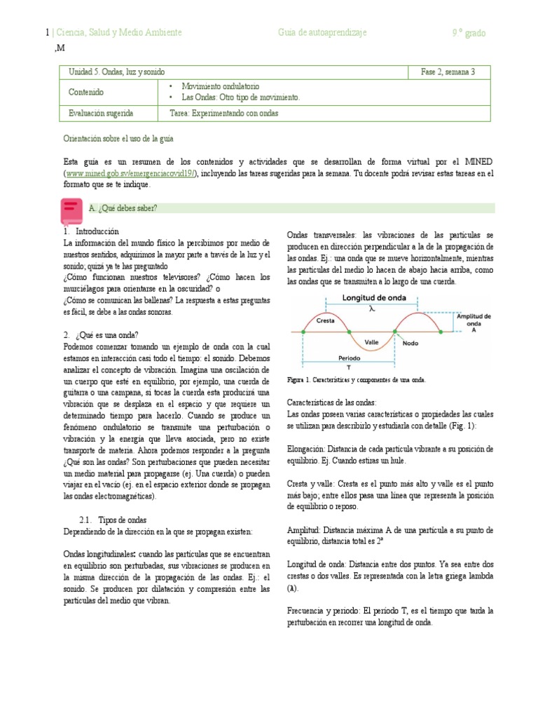 Guía de Ondas: Luz y Sonido | PDF | Olas | Sonido