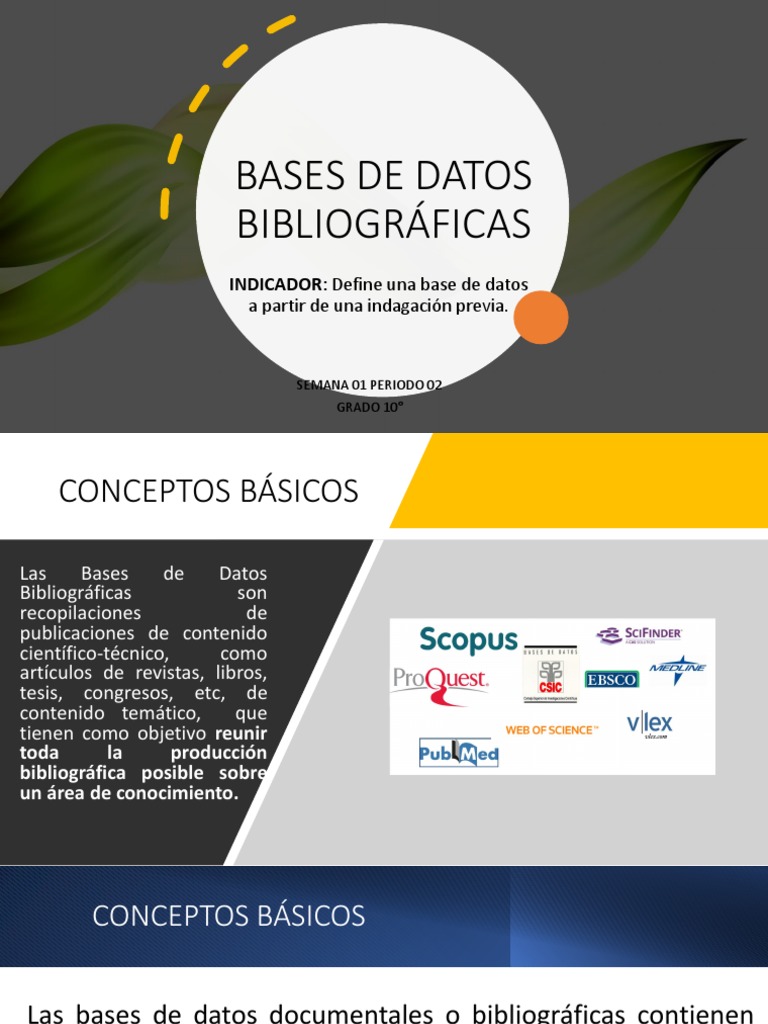 Bases de Datos Bibliográficas | PDF | Internet | Bases de datos