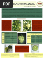 Tree Identification Key Printable: Click Here To Download | PDF ...