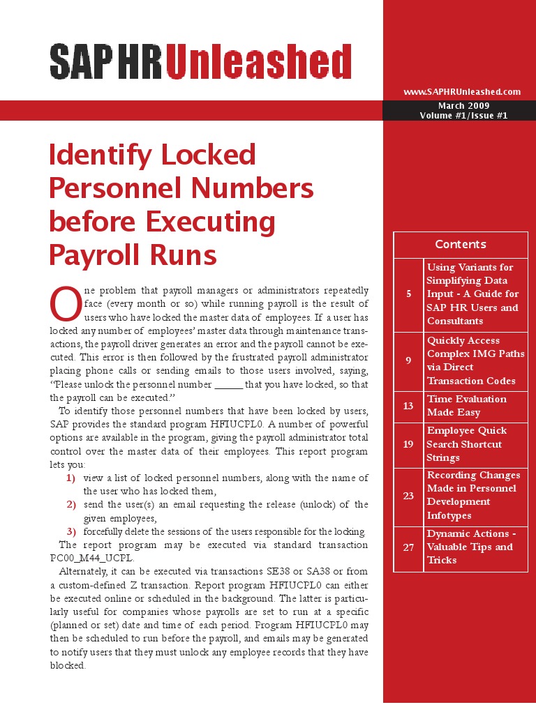 Managing Locked Employee Records in SAP: Identifying Locked Personnel ...