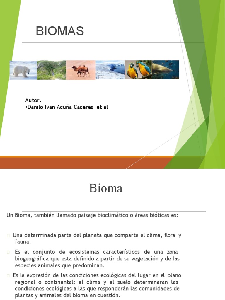 Biomas Biomas Clase | PDF | Ecorregiones | Selva