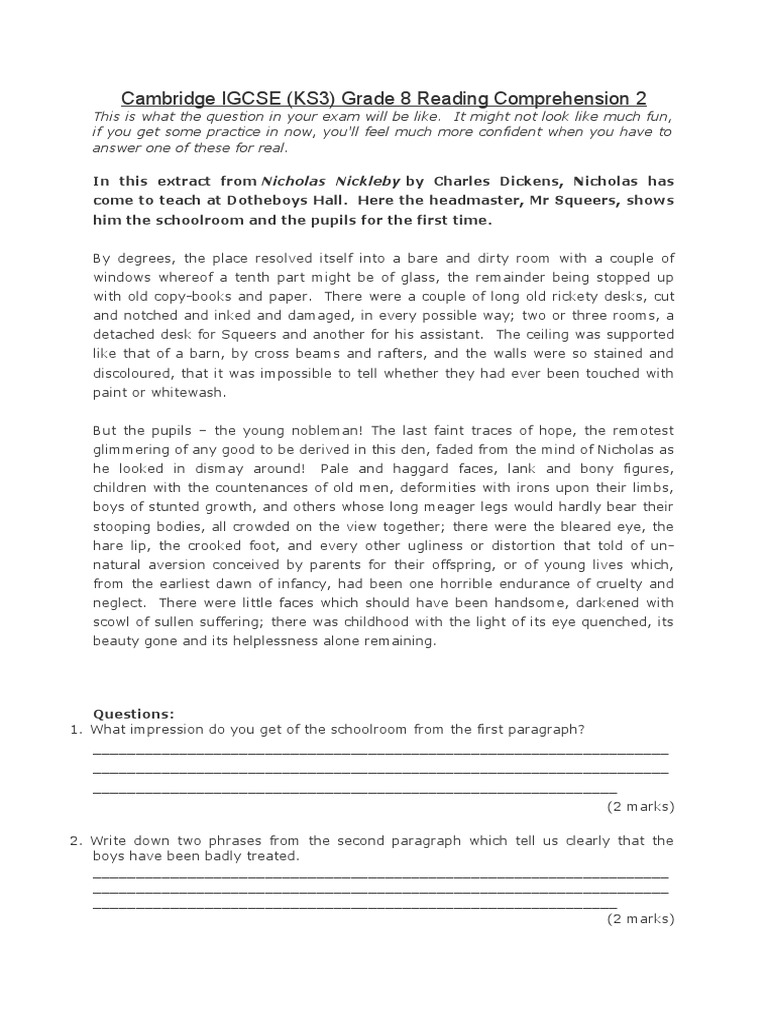 Reading Comprehension Year 8 Test Dorothy James Reading Worksheets