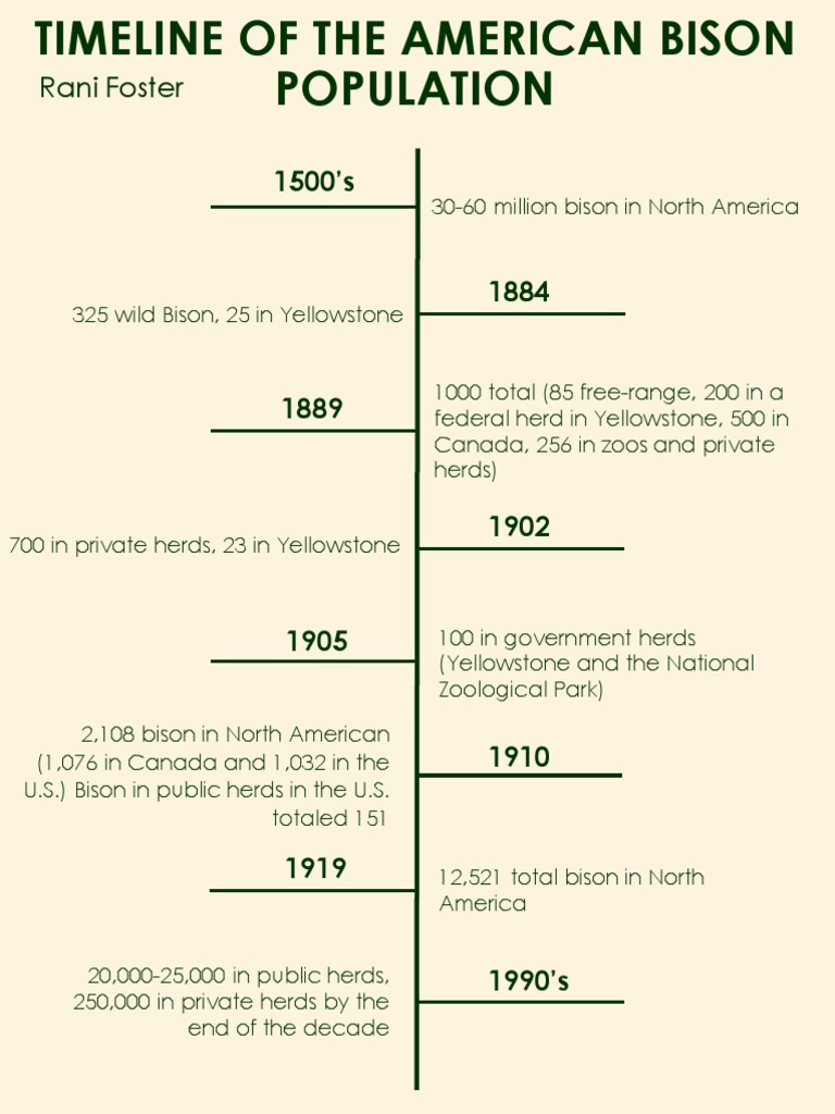 Timeline of The American Bison | PDF | American Bison | Bison
