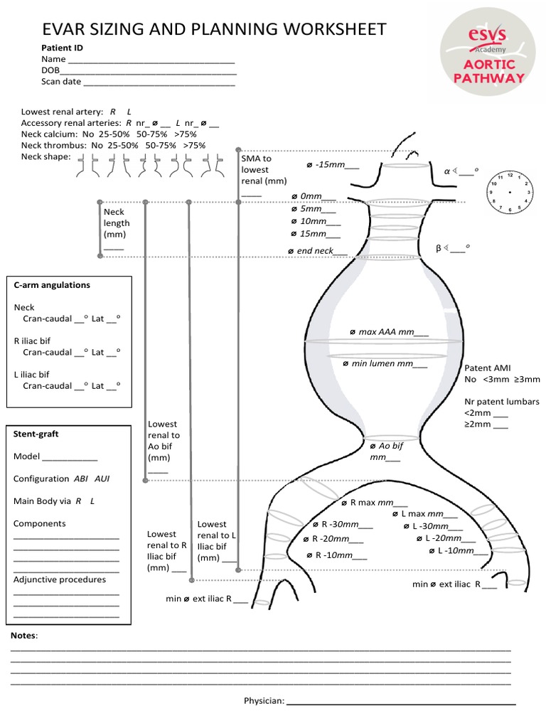 EVAR Sizing and Planning Worksheet | PDF | Aorta | Cardiovascular System