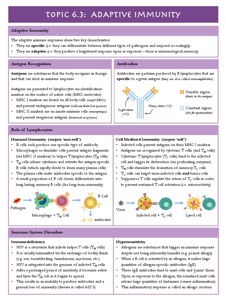 6.3 Adaptive Immunity | PDF | Antigen | Adaptive Immune System