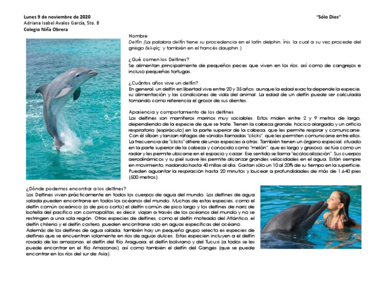 Los Delfines | PDF | Naturaleza