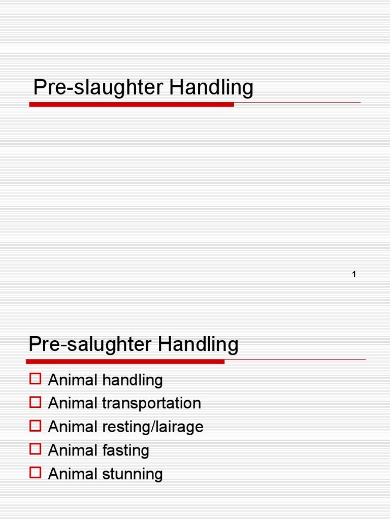 Pre-Slaughter Animal Handling Guide | PDF | Animal Slaughter ...