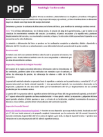 Choque de La Punta | PDF | Corazón | Anatomía humana