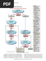 ABLS - Advanced Burn Life Support Provider Manual | PDF | Burn ...