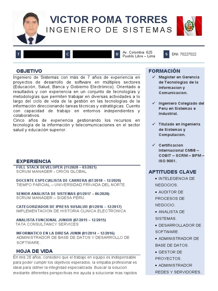 CV Victor 2021 | PDF | Software | Informática